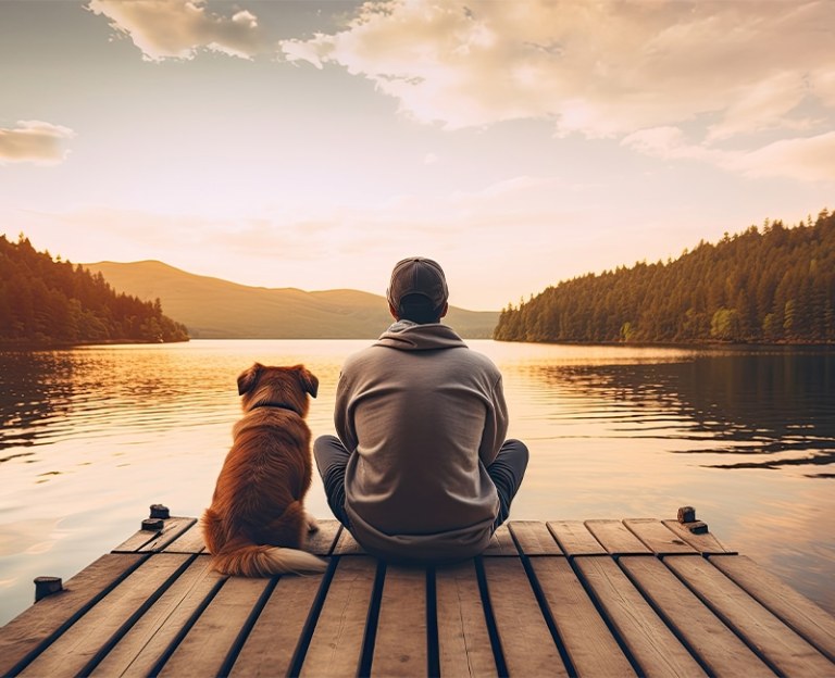 What to Know About Emotional Support Animals - Counseling Now